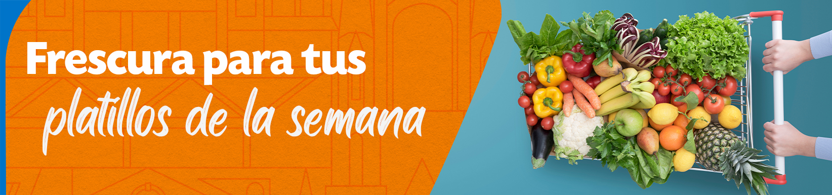 merza al día | La tienda Online de Merza